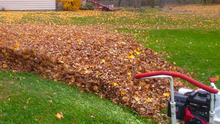 Fall/Spring Cleanup – Luke’s Lawn Service
